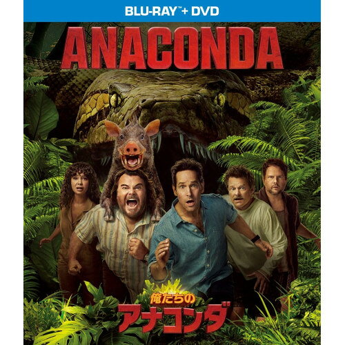 【 お取り寄せにお時間をいただく商品となります 】　・入荷まで長期お時間をいただく場合がございます。　・メーカーの在庫状況によってはお取り寄せが出来ない場合がございます。　・発送の都合上すべて揃い次第となりますので単品でのご注文をオススメい...