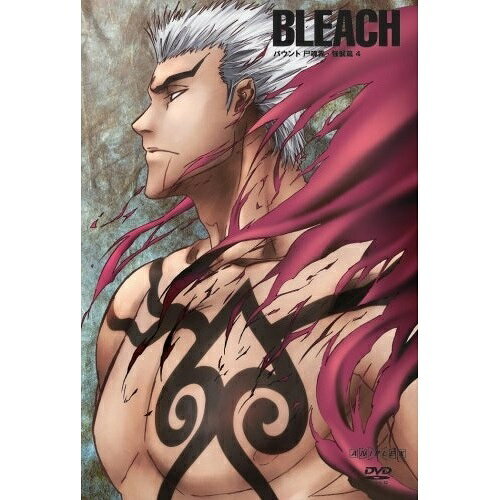 BLEACH(バウント 尸魂界・強襲篇4) (通常版)キッズ久保帯人、森田成一、折笠富美子　発売日 : 2007年4月25日　種別 : DVD　JAN : 4534530017758　商品番号 : ANSB-2504