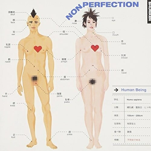 NONPERFECTIONSHURIKENシュリケン しゅりけん　発売日 : 2003年7月02日　種別 : CD　JAN : 4571143310067　商品番号 : FUCD-1004【商品紹介】メロコア・バンド、SHURIKENのアル...