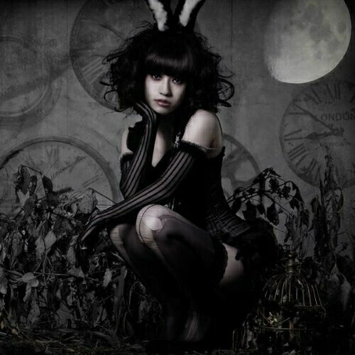 Eye2Eye (CD+DVD)しがせいこ aka 黒ウサシガセイコエイケイエイクロウサ しがせいこえいけいえいくろうさ　発売日 : 2010年12月15日　種別 : CD　JAN : 4988064272976　商品番号 : NFCD-2...