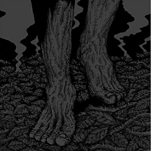棘。時に苦悩...THORNソーン そーん　発売日 : 2014年10月08日　種別 : CD　JAN : 4546175011640　商品番号 : RLCA-1176【商品紹介】結成10周年(2014年時)を迎えたTHORNの集大成とも言...