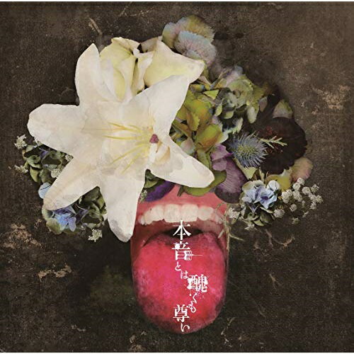 本音とは醜くも尊い橋爪ももハシヅメモモ はしづめもも　発売日 : 2019年4月17日　種別 : CD　JAN : 4988008311044　商品番号 : TKCA-74781【商品紹介】進化をし続ける異色のシンガーソングライター、橋爪も...