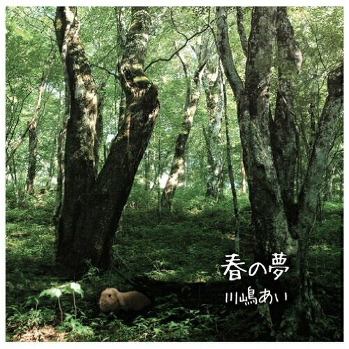 春の夢 (CD+DVD) (初回生産限定盤)川嶋あいカワシマアイ かわしまあい　発売日 : 2010年4月07日　種別 : CD　JAN : 4562166390617　商品番号 : TRAK-104【商品紹介】シンガー・ソングライター、川...