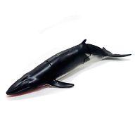 発売日 2000/02/28 メーカー フルタ製菓 型番 - JAN 4902501200711 中古注意事項 ※中古商品に関しまして、食品の有無、賞味期限等は保証外とさせて頂きます。予めご了承下さい。※中古商品に関しまして、食品は安全衛生...