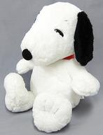 発売日 2016/02/10 メーカー セガ 型番 1011749 中古注意事項 ※こちらの商品はアミューズメント専用景品となります。※中古商品に関しましては、タグの有無は保証しておりません。予めご了承下さい。※こちらの商品はクリーニング不...