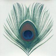 発売日 - メーカー TVT RECORDS 型番 TVT3250-2 JAN 0016581325029 関連商品はこちらから TVT RECORDS　