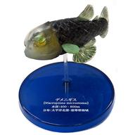 発売日 2010/10/31 メーカー タカラトミーアーツ 型番 - JAN 4904790988738 備考 商品解説■生物界のアウトサイダーを追い続ける｢不思議生物大百科｣に“深海魚”が登場!!グロテスクだけど、どこかユーモラスな姿を忠...