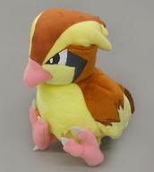 発売日 2018/11/16 メーカー ポケモン 型番 - JAN 4521329244891 中古注意事項 ※中古商品に関しましては、タグの有無は保証しておりません。予めご了承下さい。※こちらの商品はクリーニング不可品となります。予めご了...