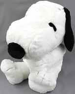 発売日 2022/11/18 メーカー セガ 型番 1065254 JAN 4580779512165 中古注意事項 ※こちらの商品はアミューズメント専用景品となります。※中古商品に関しましては、タグの有無は保証しておりません。予めご了承下...
