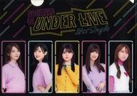 発売日 2022/11/21 メーカー - 型番 NZ-30009 備考 商品解説■「乃木坂46 31stSG アンダーライブ」のグッズです。【商品詳細】サイズ：A4対応素材：ポリプロピレン 関連商品はこちらから