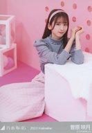 発売日 2023/02/01 メーカー 乃木坂46LLC 型番 - 関連商品はこちらから 乃木坂46LLC　