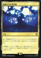 発売日 2023/10/13 メーカー ウィザーズ・オブ・ザ・コースト 型番 - 備考 分類：土地/レア度：R 関連商品はこちらから ウィザーズ・オブ・ザ・コースト　