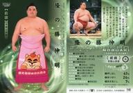 発売日 2024/05/16 メーカー ベースボールマガジン社 型番 - 備考 分類：前頭/レア度：レギュラーカードシリーズ：BBM2024 大相撲カード「響」-HIBIKI- 関連商品はこちらから ベースボールマガジン社　