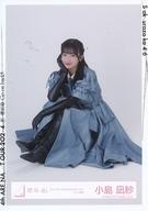 発売日 2024/02/24 メーカー Seed ＆ Flower LLC 型番 - 関連商品はこちらから Seed ＆ Flower LLC　