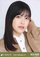 発売日 2024/02/16 メーカー 乃木坂46LLC 型番 - 関連商品はこちらから 乃木坂46LLC　