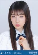 発売日 2025/10/01 メーカー 乃木坂46LLC 型番 - 関連商品はこちらから 乃木坂46LLC　