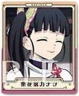 発売日 2024/10/25 メーカー エンスカイ 型番 - JAN 4970381684754 備考 商品解説■アニメ「鬼滅の刃」より、スナップマイドSQmore！の第2弾が登場！ちょっと大きなサイズのスクエア型カードです！色んなシーンを...