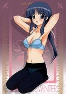 発売日 2007/12/31 メーカー アクシア 型番 - 備考レア度：ノーマルカードVENUS IDOL PROJECT(V.I.P) Rare Selection Winter 2008 10TH ANNIVERSARY BOX 関連商...