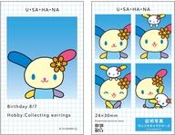 発売日 2024/10/23 メーカー ティーズファクトリー 型番 - JAN 4548626235049 備考 商品解説■「サンリオキャラクターズ」より、『シークレット証明写真風スマロイド』の登場です。【商品詳細】サイズ：約H89×W55...