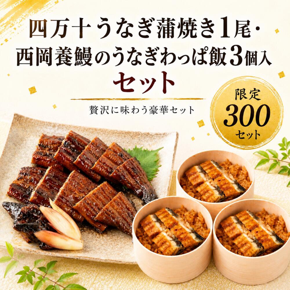 商品詳細 名称 四万十うなぎ蒲焼き・うなぎわっぱ飯 原材料 うなぎ蒲焼き：【うなぎ蒲焼き】うなぎ(国産)、醤油(大豆、小麦)、みりん、ぶどう糖果糖液糖発酵調味料、砂糖、澱粉(トウモロコシ)、水飴、魚醤(トウモロコシ遺伝子組み換えでない)(原...