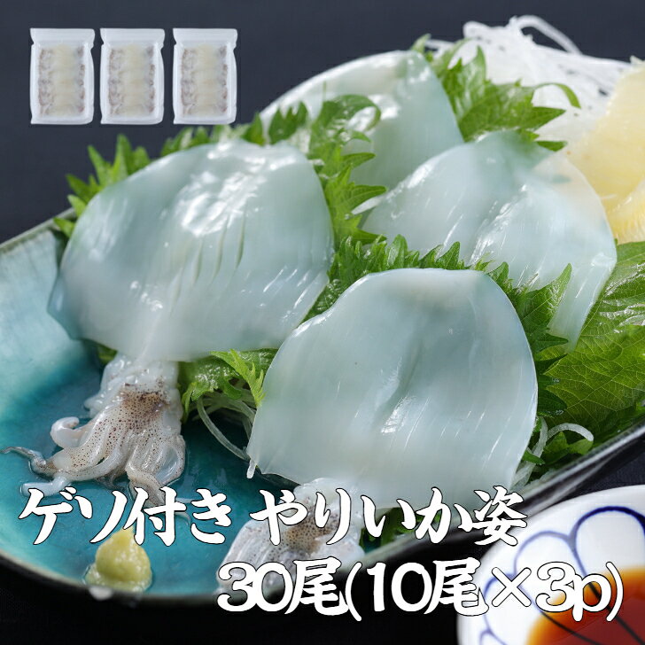 【送料無料】無添加 生食用 ゲソ付き やりいか 姿 30尾(10尾×3p) 寿司ネタ 冷凍便 生食用 のせるだけ 刺身用 海鮮丼 ヤリイカ 無添加 やりいか ヤリイカ いかげそ イカゲソ 生食 刺身 新鮮 高鮮度 寿司ネタ 無添加 生食用 ...