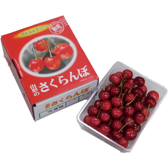山形県天童市から、美味しい農地で採れたての果実を直送いたします。 初夏だけの味覚、真っ赤に輝く可愛い実。実が真っ赤でツヤのあるL-2L サイズの贈答用の秀品を厳選しています。 佐藤錦の濃厚な甘みと美味しさは間違いありません。 お送りする箱の...