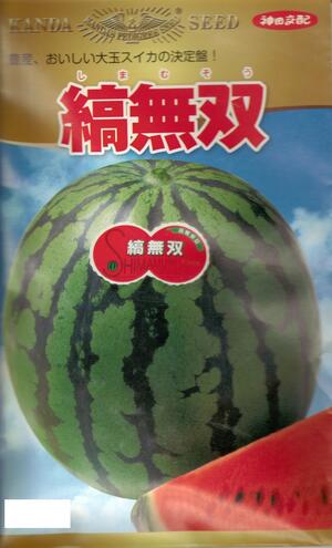 野菜種子 大玉スイカ「縞無双（しまむそう）」7粒／50粒／200粒（神田育種農場）【送料込み】 西瓜／すいか 着花・食味・秀品率最高！！地色濃く縞太い迫力満点！ ●果実の形状が特に優れています。●また地肌の色・縞の色も濃く、外観の整一性で他...