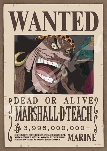 「四皇」 黒ひげ ティーチ/182×257mm/208-149・Color:「四皇」 黒ひげ ティーチ・【ピース数】208ピース・【サイズ】182×257mm・【適合パネル】No.1-ボ・【素材】紙・【その他】ピース請求はがき、パズルのり、...