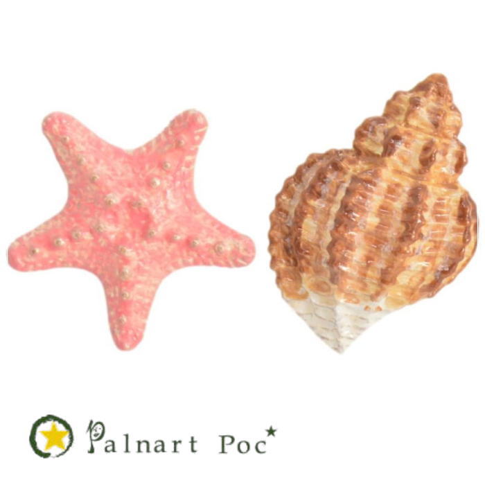 ★商品情報★ ・ブランド ：Palnart Poc パルナートポック ・商品名　 ：シェル ピアス ・素材　　 ：ピューター ・サイズ　 ：ヒトデ：縦約26mm×横約27mm、貝：縦約33mm×横約22mm ・ポスト　 ：サージカルステンレ...