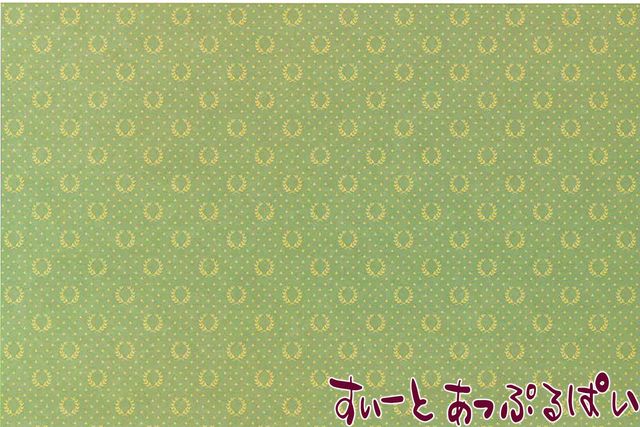 1/24サイズのドールハウス用壁紙です！ハーフインチサイズでドールハウスを製作されている方は、必見です！柄も沢山ありますよ！サイズ：14x21．6cm。メーカー：ブロドナックス（アメリカ）。※壁紙と厚さ3cmまでの商品だけでしたら、クリック...