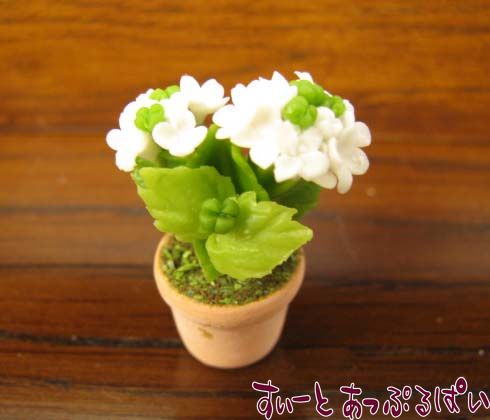 アジサイの鉢植えです！！若い時は、アジサイの良さが良くわからなかったのですが、最近は、アジサイって、なんて素敵な花だろう、とつくづく思います。春には、薔薇をはじめ沢山の花が咲きますが、6月になると急に全部終わってしまいます。しかしアジサイが...