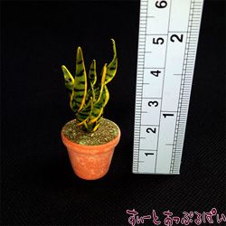 【小さめ】こちらは、他の観葉植物よりも少し小さめです。サイズをご確認くださいね。 観葉植物の鉢植えのミニチュアです。お庭に置いても、お部屋に置いても、いいですね！お部屋に置くなら、鉢を白く塗ったり、バスケットに入れたりすると良いかも知れませ...
