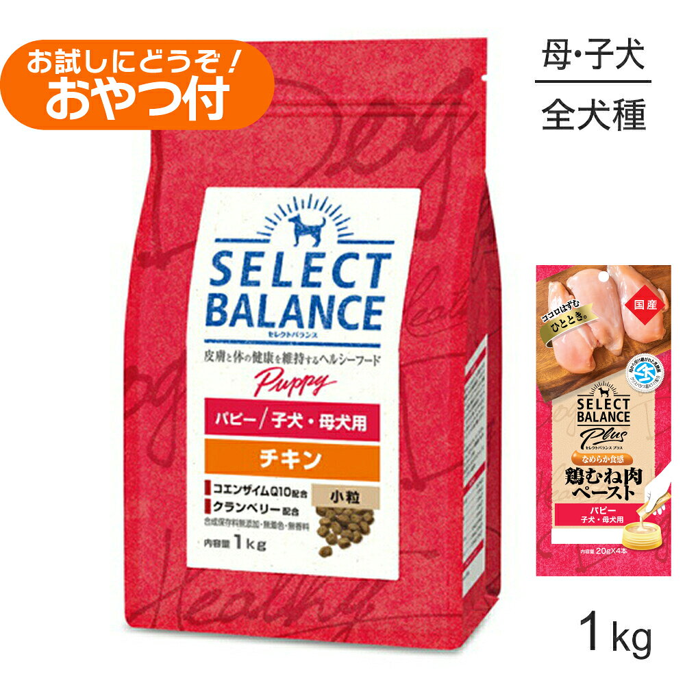 【この商品は「セレクトバランス Plus パピー 子犬・母犬用 鶏むね肉ペースト 20g×4本」のお試しおやつ付きです】商品の特徴セレクトバランス パピー チキンは、1才未満の子犬と妊娠・授乳期の母犬の健康に必要な栄養をバランスよく含み、子...