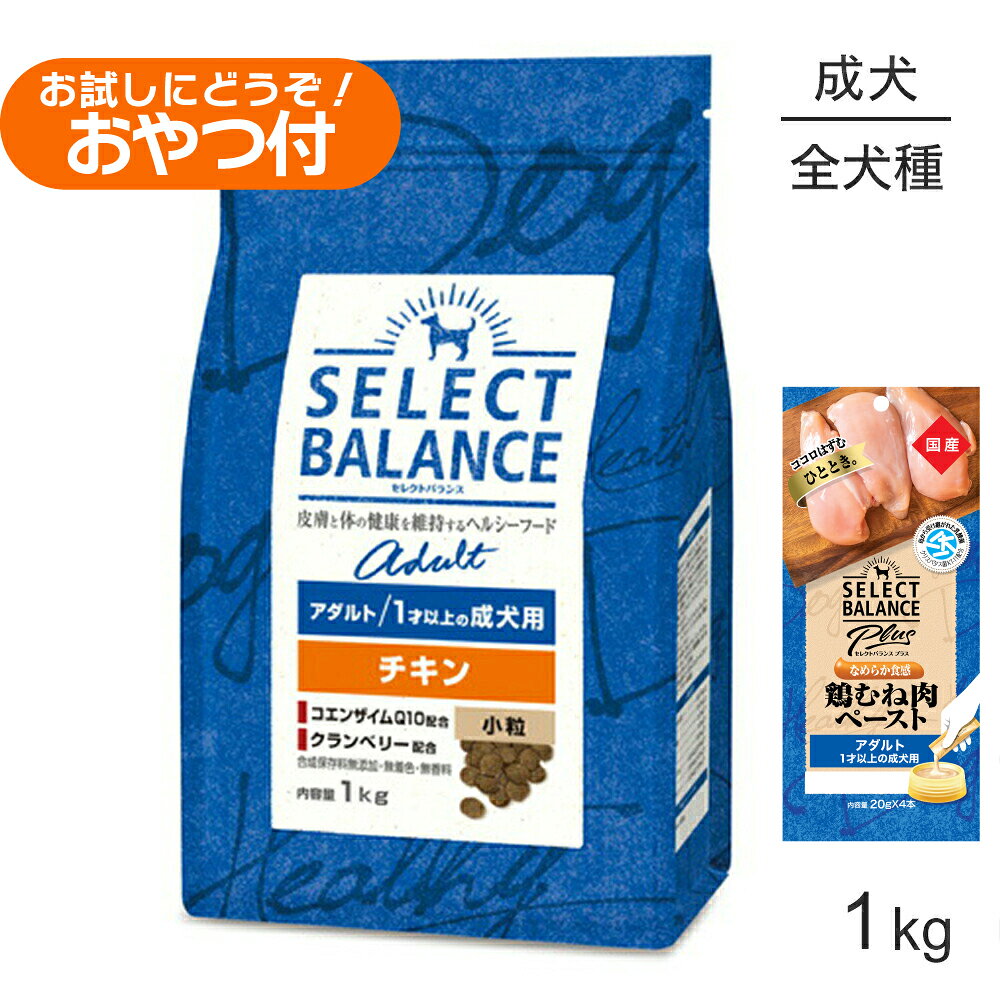 【この商品は「セレクトバランス Plus アダルト 1才以上の成犬用 鶏むね肉ペースト 20g×4本」のお試しおやつ付きです】商品の特徴セレクトバランス アダルト チキンは、1才以上の成犬の健康維持に必要な栄養をバランスよく含んでいます。●...