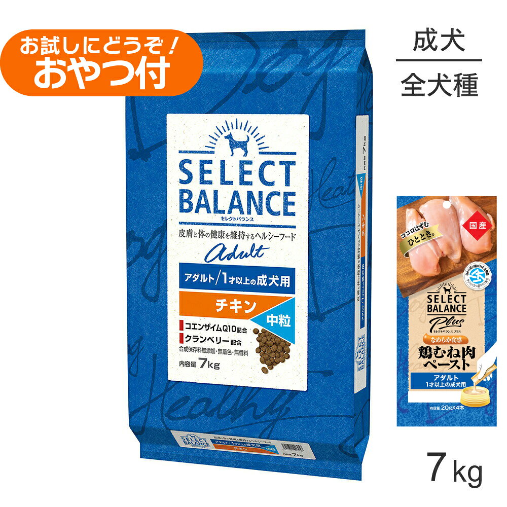 【この商品は「セレクトバランス Plus アダルト 1才以上の成犬用 鶏むね肉ペースト (20g×4本)×2袋」のお試しおやつ付きです】商品の特徴セレクトバランス アダルト チキンは、1才以上の成犬の健康維持に必要な栄養をバランスよく含んで...