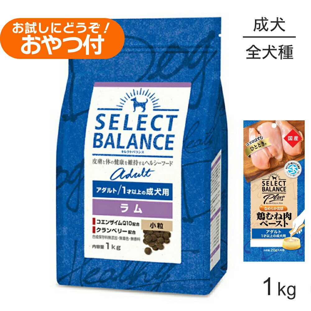 【この商品は「セレクトバランス Plus アダルト 1才以上の成犬用 鶏むね肉ペースト 20g×4本」のお試しおやつ付きです】商品の特徴セレクトバランス アダルト ラムは、1才以上の成犬の健康維持に必要な栄養をバランスよく含んでいます。●食...
