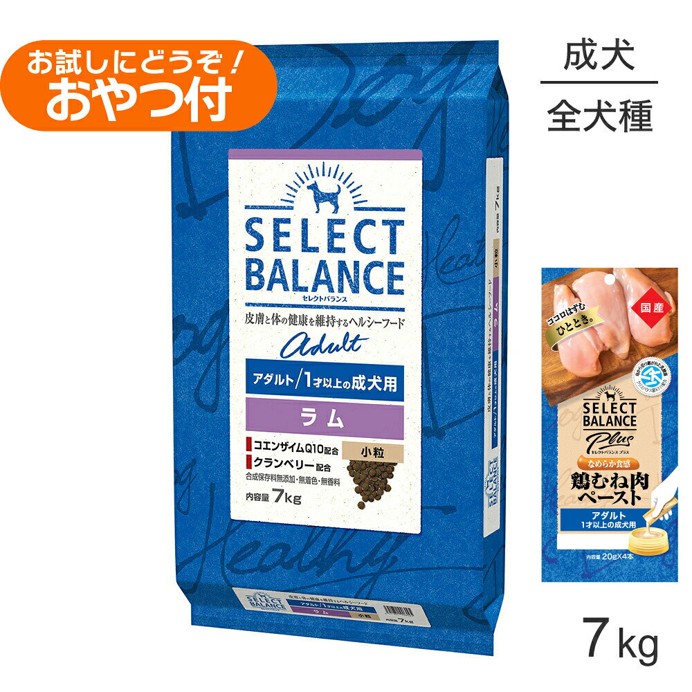 【この商品は「セレクトバランス Plus アダルト 1才以上の成犬用 鶏むね肉ペースト (20g×4本)×2袋」のお試しおやつ付きです】商品の特徴セレクトバランス アダルト ラムは、1才以上の成犬の健康維持に必要な栄養をバランスよく含んでい...