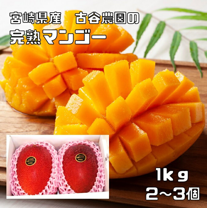 品種 マンゴー（宮崎県産） 規格 1Kg（2～3個） 商品説明 宮崎県内のマンゴー農場「古谷農場」で丁寧に育てられた完熟マンゴーです。ものすごく甘くて高品質なマンゴーを育てておられるので、是非お店でも販売してみたいと一部分けて頂けました。収...