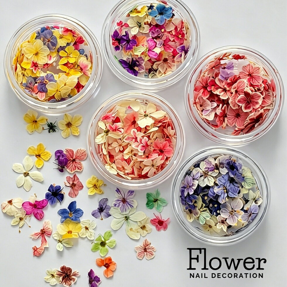 ■ご購入前にご確認ください■ こちらの商品は天然のお花を加工した商品です。 花びらのかけ、ちぎれ、色ムラ等ございます。また、お花の大きさもバラツキがございます。 押し花はとっても繊細で壊れやすいので、ご使用時には十分お気を付けください。 【...