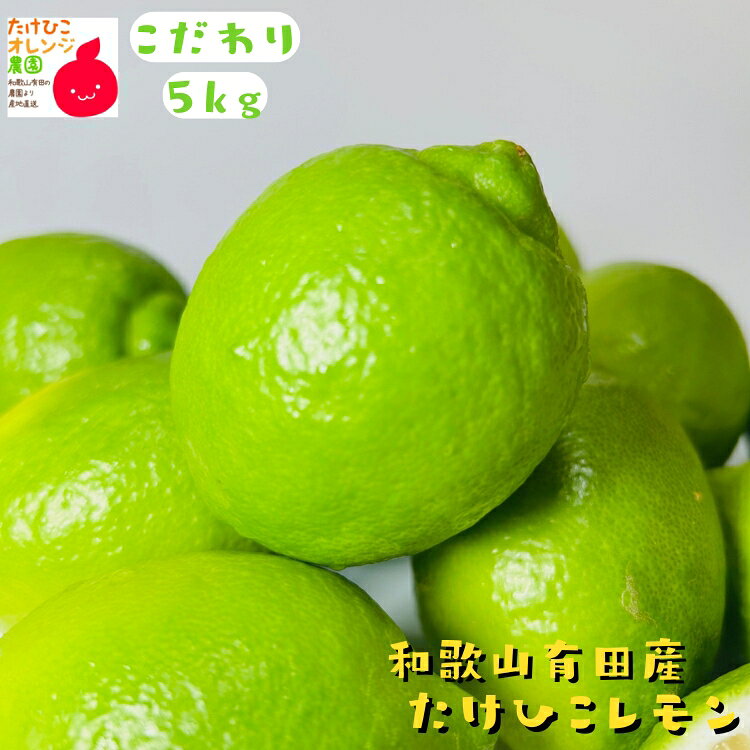 同梱できます♪有田みかん蜂蜜>>>こちら 商品名： 国産レモン 産地： 和歌山県産 内容量： 5kg(傷み補償200gを追加してお届けします。)（約40～60個入り） サイズ・等級： 混合サイズ 送料： 送料無料(北海道は...
