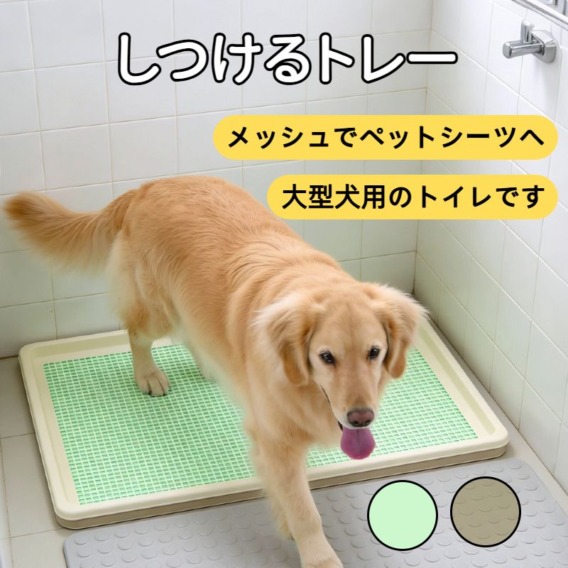 中型~大型犬用のトイレですサイズ: 幅936×奥行640×高さ44mm重量: 2.5kg材質: 本体、メッシュカバー/PP樹脂製中型~大型犬用のトイレです商品紹介 中型~大型犬用のトイレです。メッシュでペットシーツへのイタズラを防止します。...