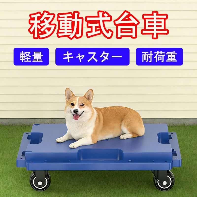 【商品詳細】サイズ：幅27.94×奥行40.64×高さ10.16cm 材質：ポリプロピレン、ゴム 重量：1.58kg 耐荷重：200kg【縦にも横にも簡単に連結】側面の突起を穴に差し込むだけで連結でき、縦にも横にも連結可能です。荷物の大きさ...