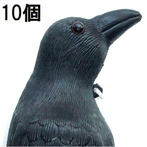 北海道、沖縄、離島へは送料見積りになりますのでご了承ください。 1000ガウス磁石付き●時折、場所を変える　●取付は簡単、紐で吊るすだけ●水田、畑、果樹園、ゴミ置き場に 本体　ポリエチレン　　サイズ　14W×50cmH 関連商品はこちらです。