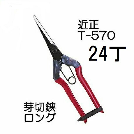 奥まった所も届くロング刃 全長195mm　刃長55mm　重量105g　刃：高級炭素刃物工具鋼 柄：鋼板製プラスチックコーティング　適合バネはSP-9果樹、野菜の収穫、摘果に &nbsp;型式クリックでその商品ページへ移動します。 T-500...