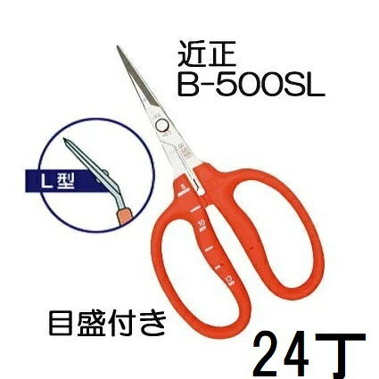 B-500SLはぶどうの摘粒、まびき、収穫など全国のぶどう産地で使われています。 全長155mm、刃長35mm、重量42g 刃：高級ステンレス刃物鋼　　柄：高衝撃ABS樹脂 近正のぶどう鋏B-500系は、刃の外側を丸く研いであるため、果実同...