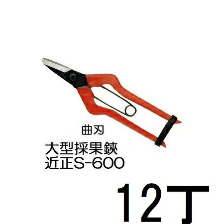 沖縄、離島へは送料見積りになりますのでご了承ください。 果実、野菜の収穫、窪んだヘタ、軸きりなどに使用 全長175mm 刃長30mm 重量115g 刃：高級炭素刃物工具鋼 柄：鋼板製プラスチックコーティング近正　曲刃 採果鋏 ●採果鋏　摘果...