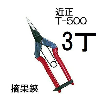 ネコポスでの発送になる為、代金引き換えは出来ません。 配達日時指定は反映されません。 鋏ケースCS-T6は ここから 移動します。&nbsp; 近正の摘果鋏は、農作業全般に幅広く使用できます。農作業全般、トマトの収穫に 全長170mm 刃長...
