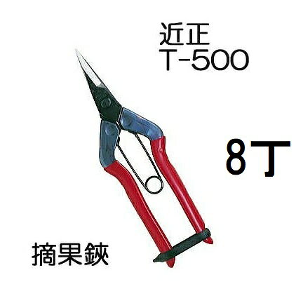 ネコポスでの発送になる為、代金引き換えは出来ません。 配達日時指定は反映されません。 鋏ケースCS-T6は ここから 移動します。&nbsp; 近正の摘果鋏は、農作業全般に幅広く使用できます。　農作業全般、トマトの収穫に 全長170mm 刃...