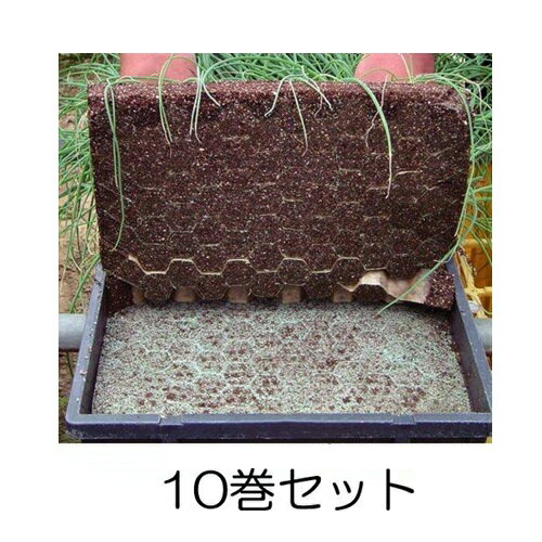 この商品は法人・個人事業者(会社、事業所、商店、学校、協同組合、農園)等向けです。屋号をご記載ください。 メーカー直送品のため代引決済はできません。 北海道、沖縄県、離島への送料は見積りになります。 運送業者の要望により再配送を避けるため、...