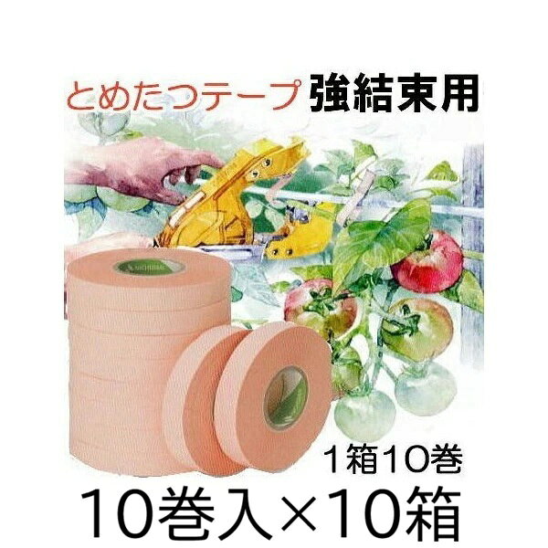 北海道、沖縄、離島へは送料見積りになりますのでご了承ください。 専用のとめたつテープは針がいらない。1巻30Mで約300回の連続作業が可能です。 とめたつテープシリーズ中、最も強い結束力。トマトの誘引結束に最適です。とめたつシリーズ ライン...